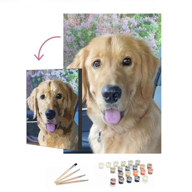 Paint Me Like: Custom paint by numbers